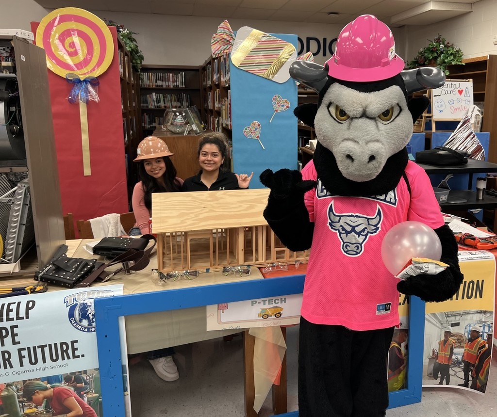 Pathways in Technology Early College High School (PTECH)